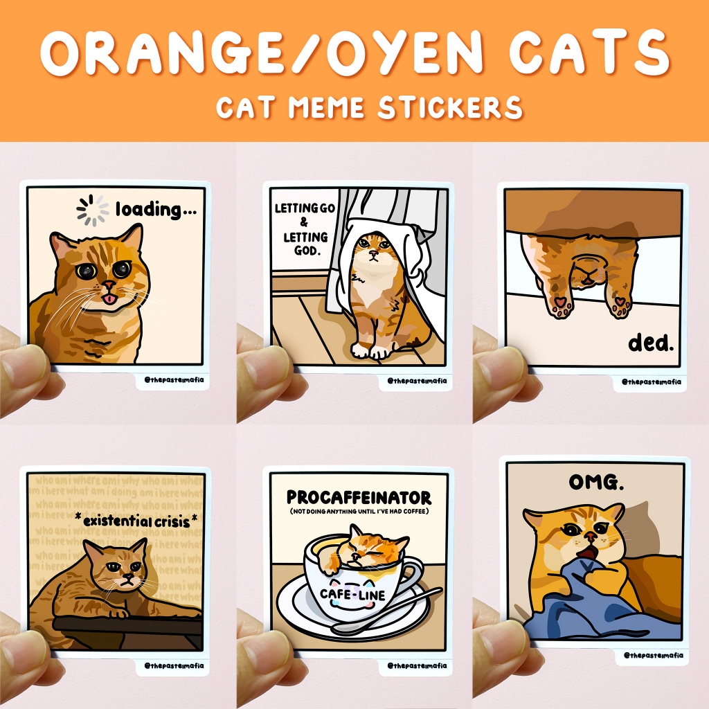 cat meme stickers: ginger cat edition (orange/oyen cats) | Shopee Singapore