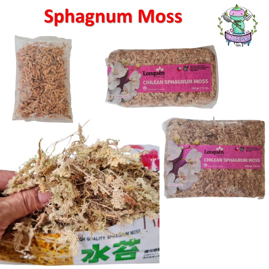 Original Lonquen Chilean Sphagnum Moss 100% Natural 5L, 150g, 500g ...