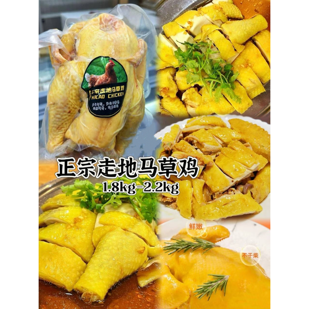 [PRE ORDER] 正宗走地马草鸡 Macao Chicken (1.8kg+-) | Shopee Singapore
