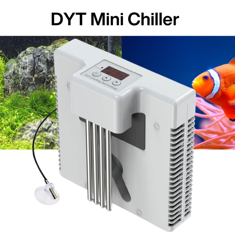 DYT Mini Chiller for up to 30L (No Installation needed) | Shopee Singapore