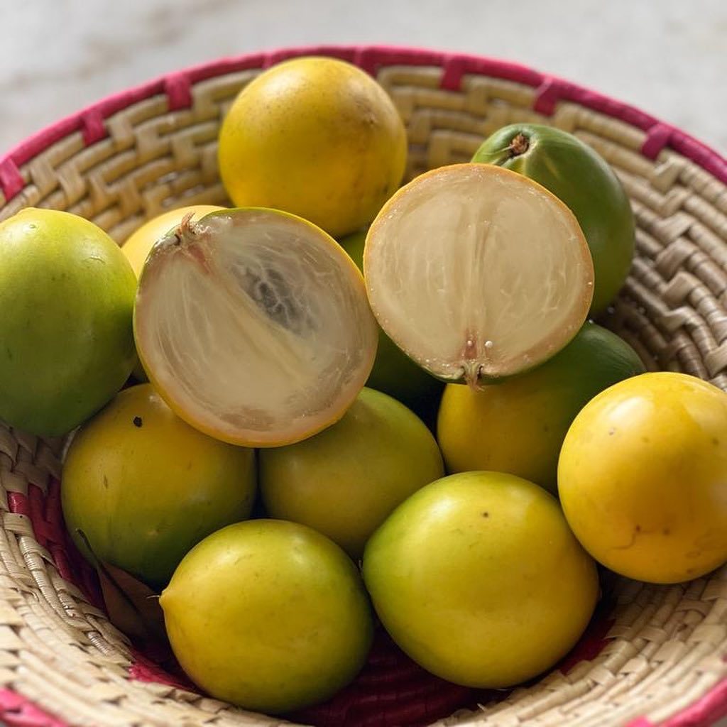 Pouteria Caimito, Abiu, Star Apple, Caimito | Shopee Singapore