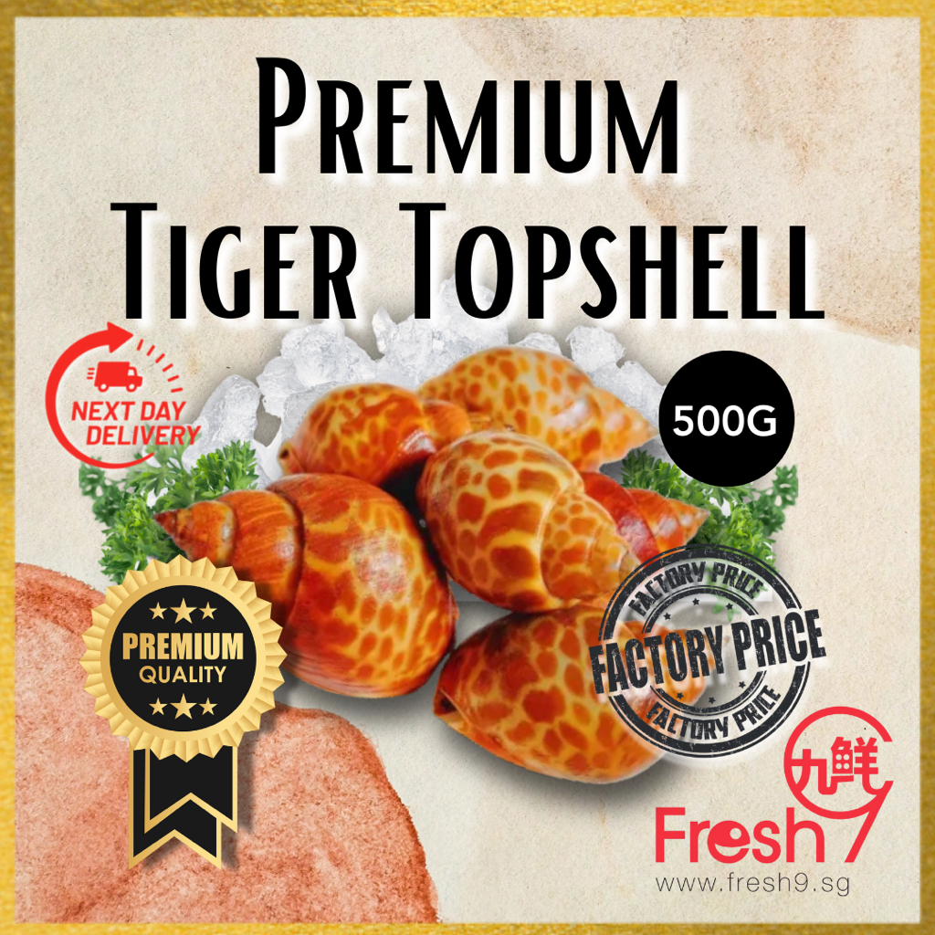 [Fresh9] Premium Tiger Topshell (500g/pkt) Seafood Indonesia | 花螺/老虎螺 ...