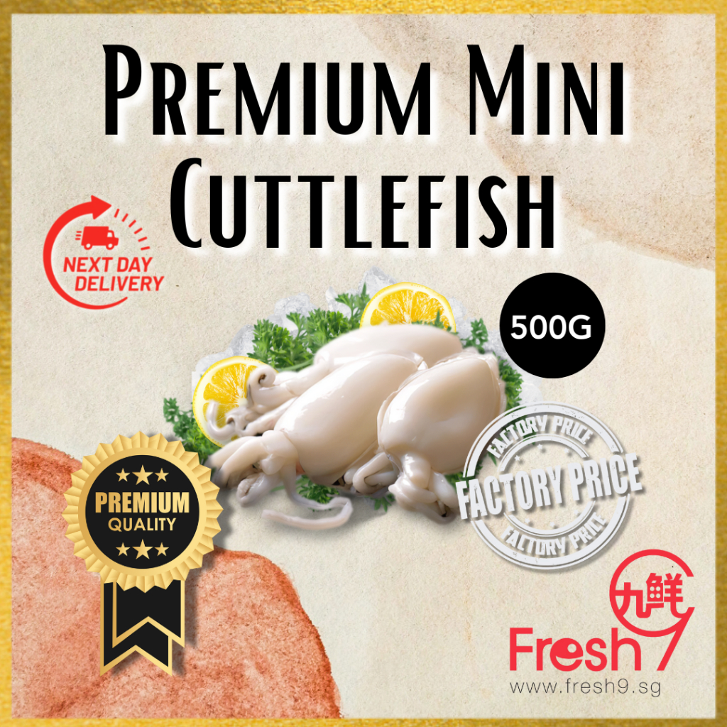 [Fresh9] Premium Mini Cuttlefish (250g/Tray) Seafood Malaysia Octopus ...