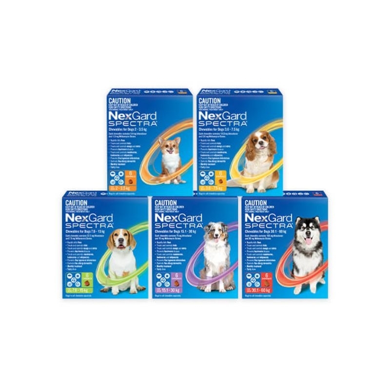 NexGard SPECTRA®For Dogs 3s | Shopee Singapore