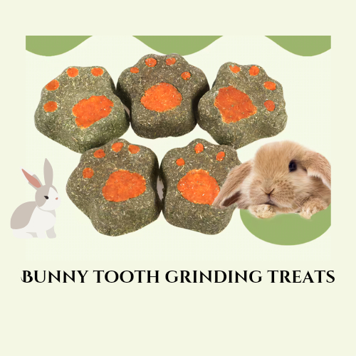 Rabbit Teeth Grinding Timothy Treats | SG Ready Stock | Shopee Singapore