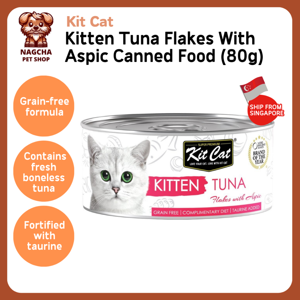 Kit Cat Kitten Tuna Flakes with Aspic Cat Canned Food Grain-Free (80g ...