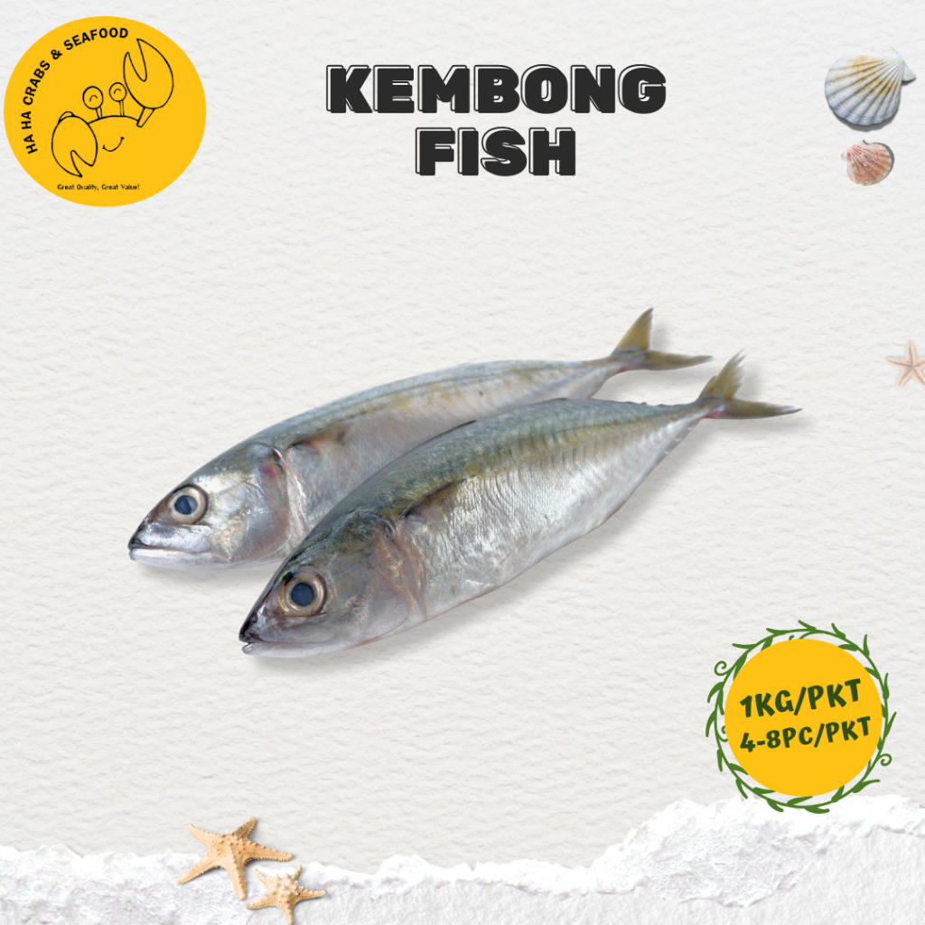 Kembong Fish ( 1Kg/Pkt ) (4 to 8 Pcs) | Shopee Singapore