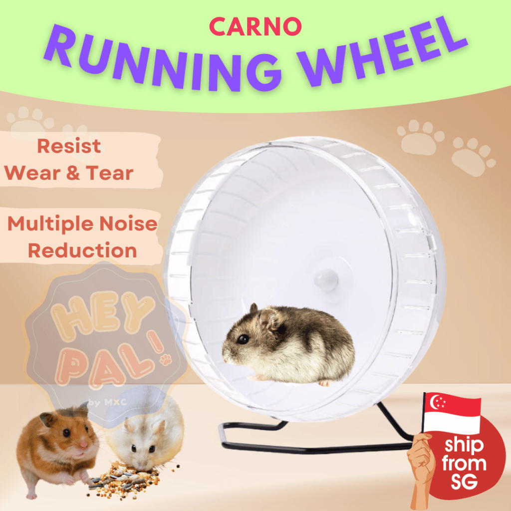 Hamster Wheel Silent Running Exercise – Noiseless Carno Spinner for ...