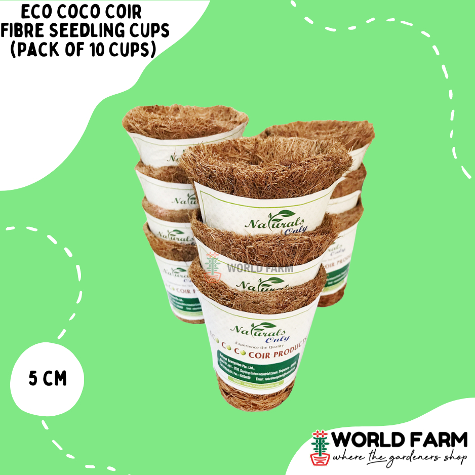 [Bundle] Biodegradable Eco Coco Coir / Fibre Seedling Cups (Pack of 10 ...
