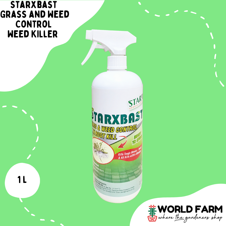 Starxbast Grass and Weed Control, Weed Killer / Herbicide, Ready to ...