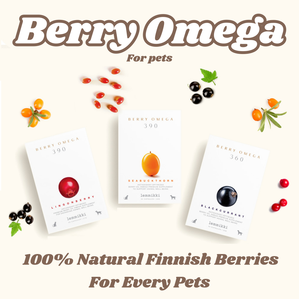 Premium Vitamin Lutein Berry Omega for Dogs and Cats Nutrition ...