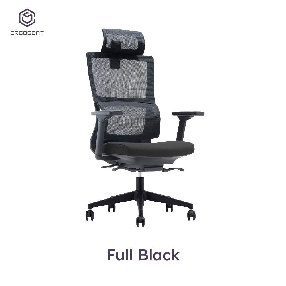 Ergoseat Ergonomic Office Chair Lumbar Support Computer Chair Study ...