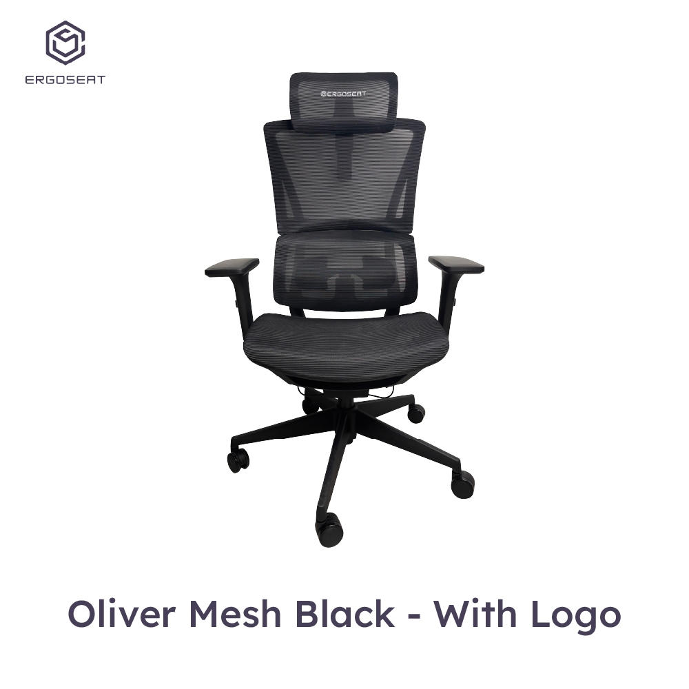 Ergoseat Ergonomic Office Chair Lumbar Support Computer Chair Study ...