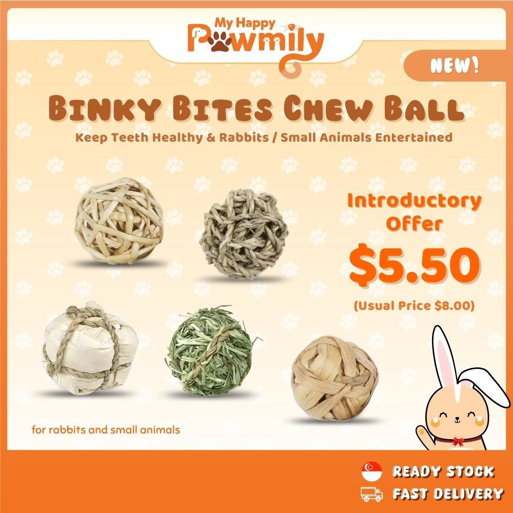 SG Fast Delivery | Binky Bites Chew Ball - Keeps Teeth Healthy ...