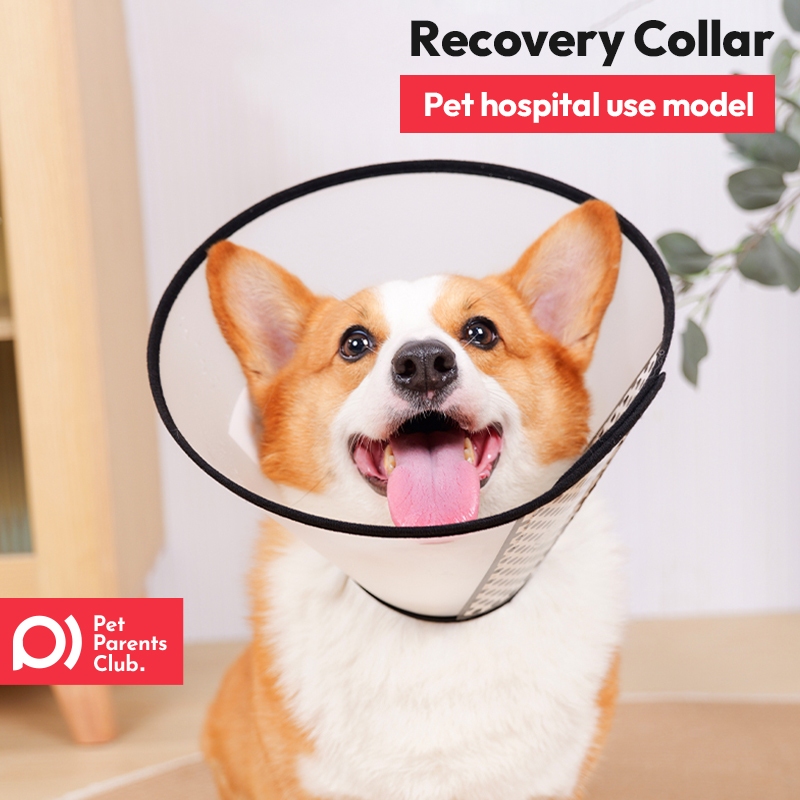 [SG Stock][PPC] Pet Cat Dog Cone Neck Elizabethan Collar Protective ...