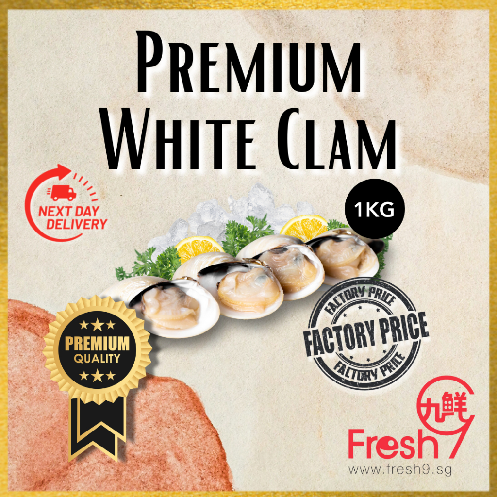 [Fresh9] Premium White Clam (1kg/pkt) Shell Seafood Vietnam | 白蚬 ...
