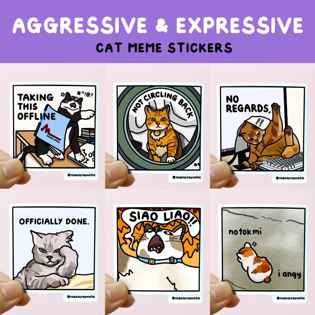 "aggressive & expressive" corporate cat meme stickers | Shopee Singapore