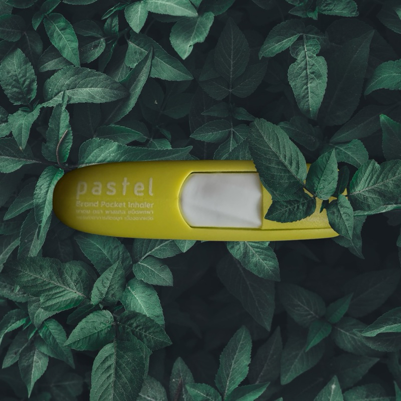 Pastel X8 Pocket Inhaler (Yadom) | Shopee Singapore