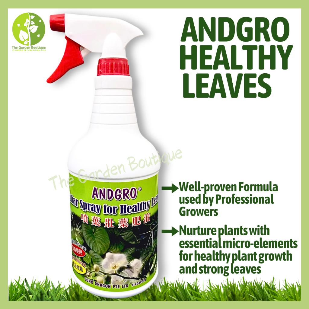 [Local Seller] ANDGRO Foliar Spray for Healthy Leaves & Plants/Ready to ...
