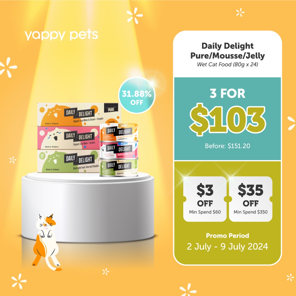 [7.7 Deals] Daily Delight Jelly Skipjack Tuna Wet Cat Food (80g x 24 ...