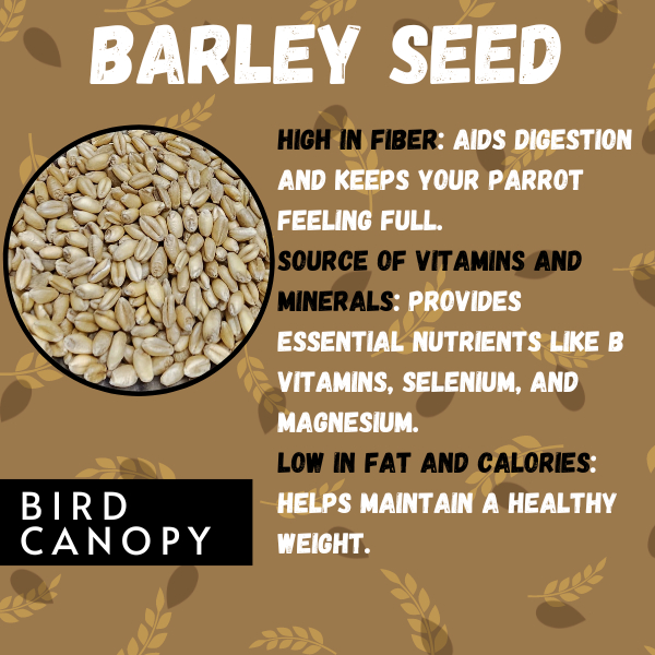 Barley Seed 500G Bird Food Parrot Feed for Budgie Lovebirds By Bird ...