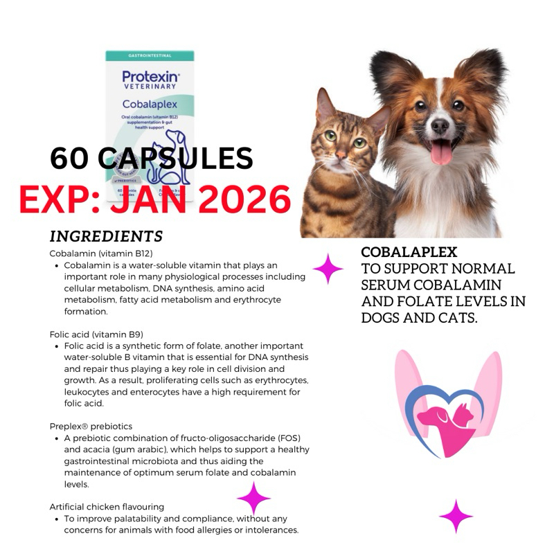 Protexin Cobalaplex B9/B12 Serum Cobalamin Folate Daily Supplement Dog ...