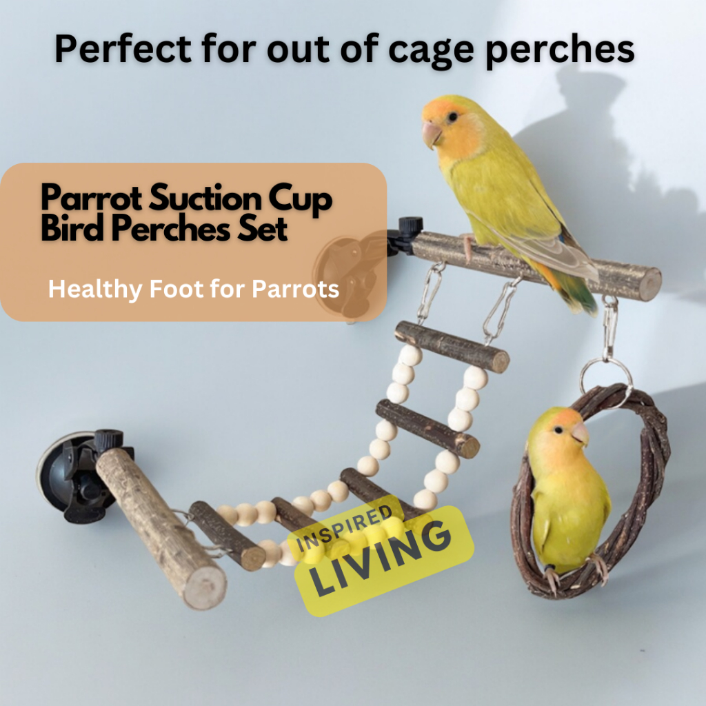 Adjustable Rotatable Bird Perch with Strong Suction Cups for Out Of ...