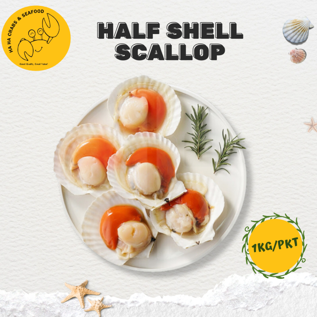 Half Shell Scallops 半边带子, 1kg | Shopee Singapore