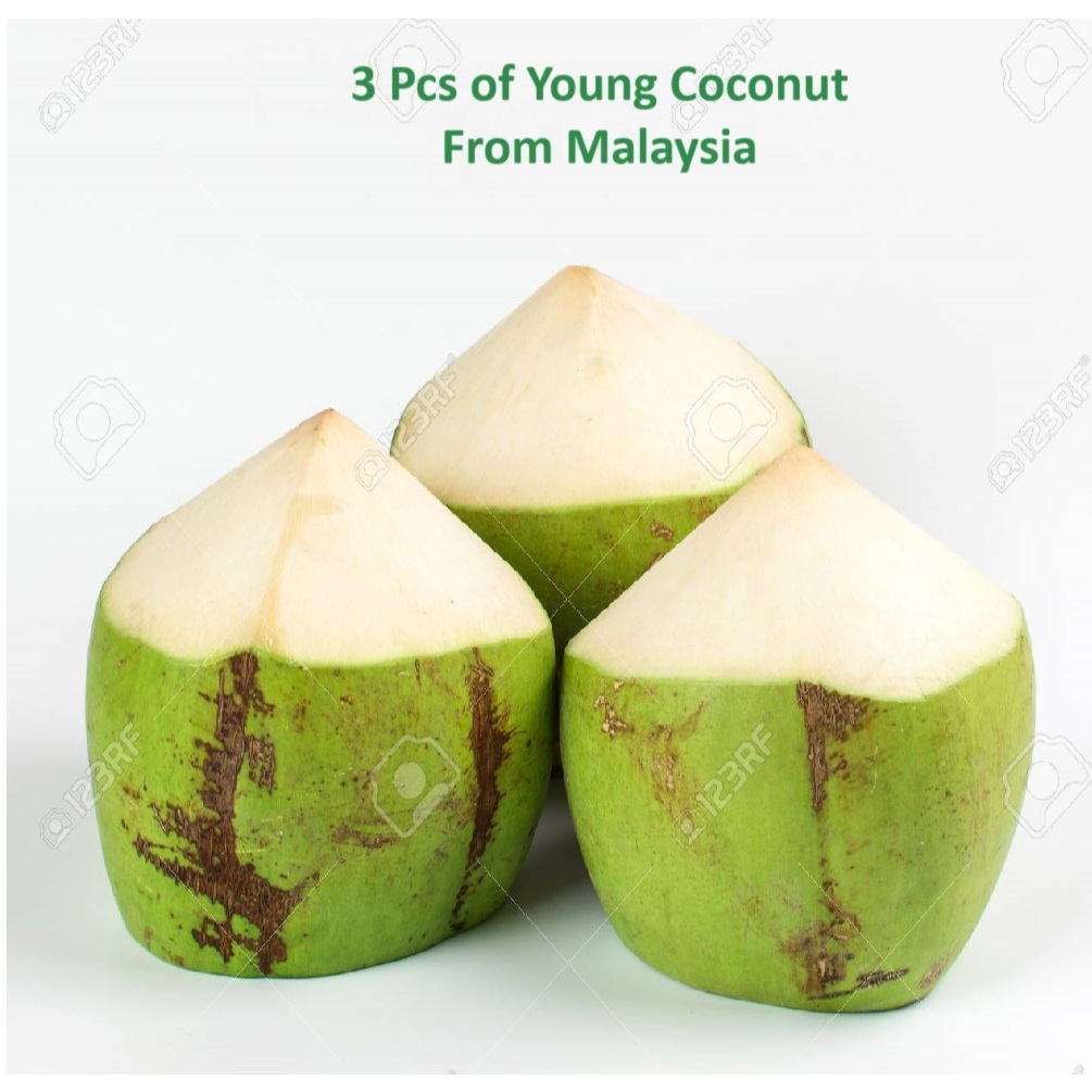 Young Coconut / Green Coconut ( 3 Pcs ) | Shopee Singapore