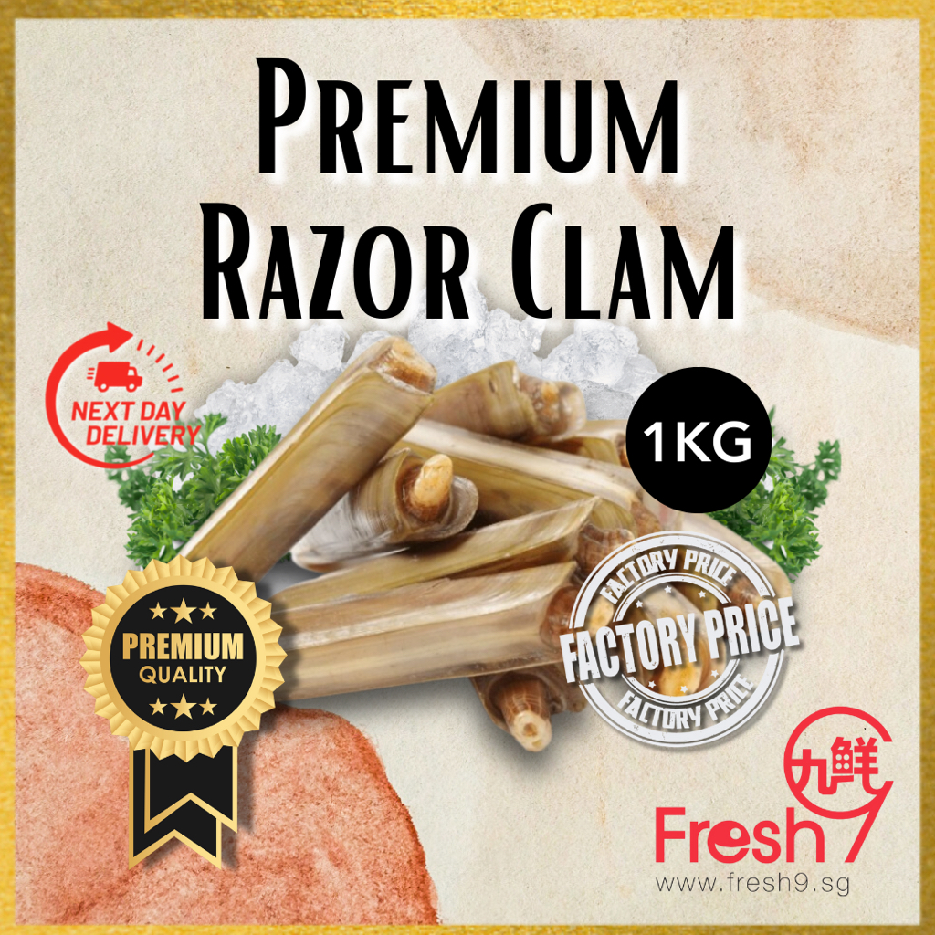[Fresh9] Premium Bamboo Clam (8-10cm | 1kg) Razor Clam Seafood Pakistan ...