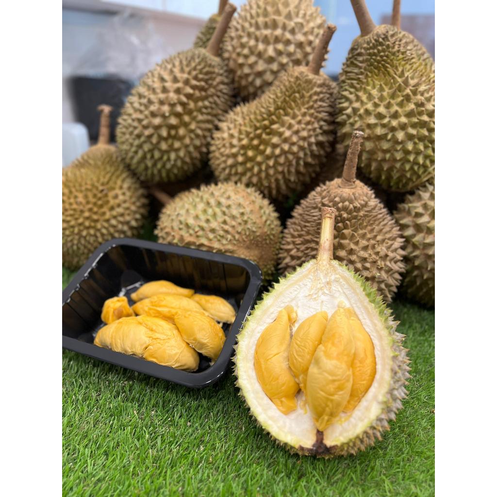 D13 Johor Red Prawn Durian 530g /box | Shopee Singapore