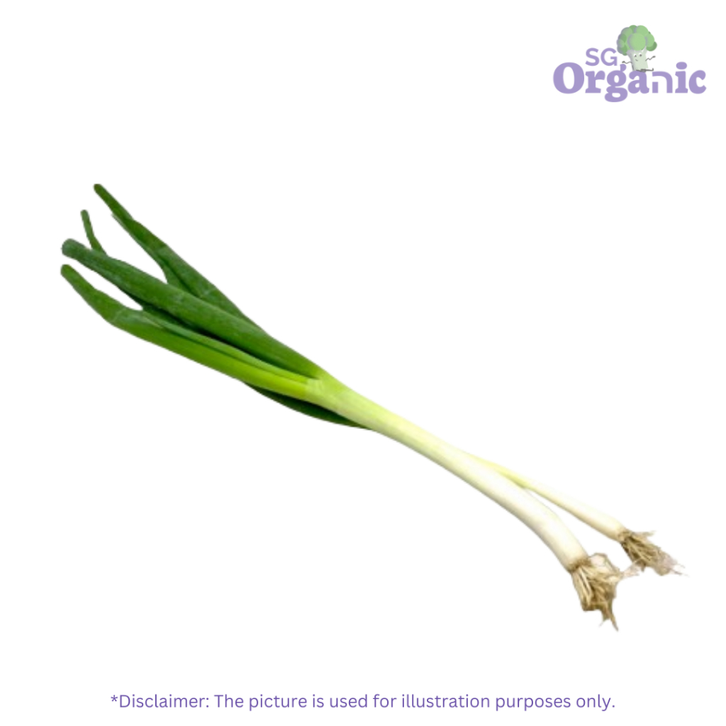 [SG Organic] Organic Spring Onion (100g) Australia | Shopee Singapore