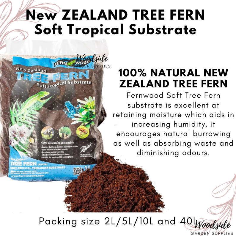 Woodside New Zealand Fernwood Tree Fern Fiber Soft Tropical ...