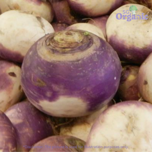 [SG Organic] Organic Turnip (500g) Australia | Shopee Singapore
