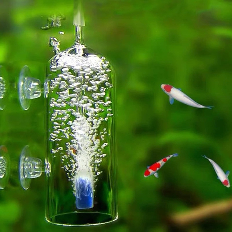 🇸🇬 SG Seller | Aquarium Air Oxygen Bubbler Glass Cup CO2 Diffuser with ...