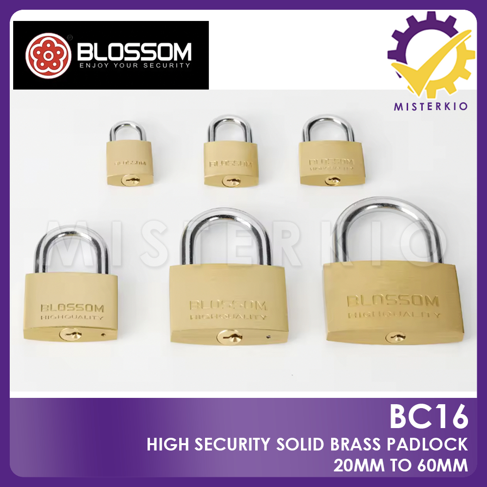 BLOSSOM Solid Brass Padlock, High Security, Economic Door Lock 20mm to ...