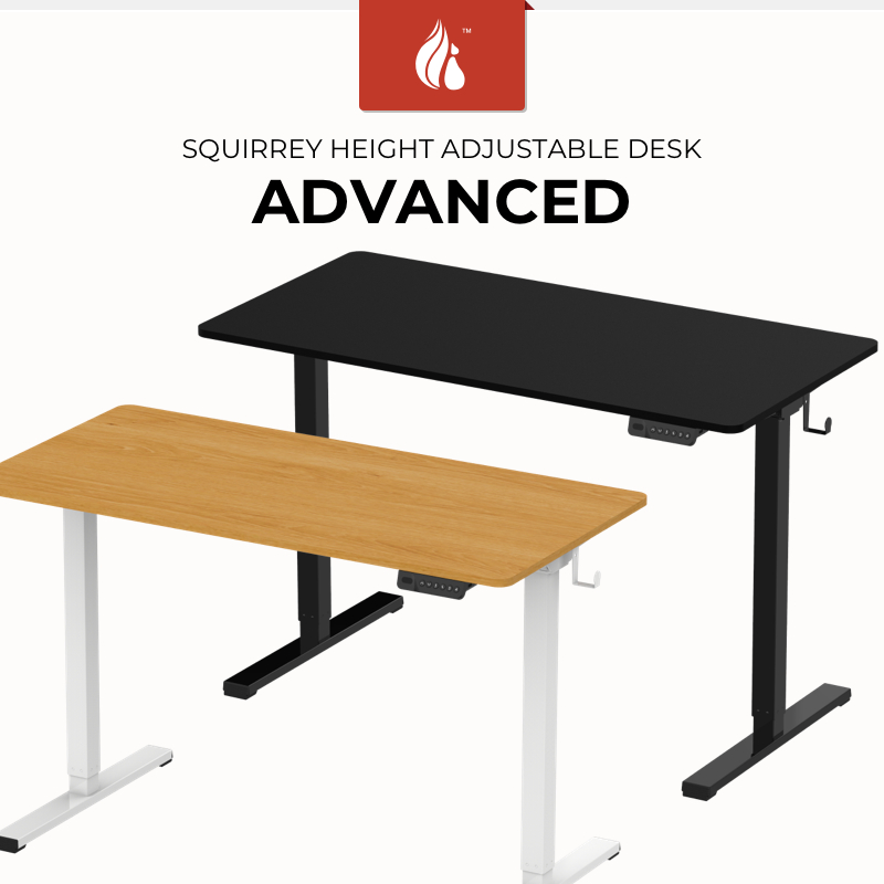 Squirrey Electric Height Adjustable Desk Advanced Version [120x60cm Top ...