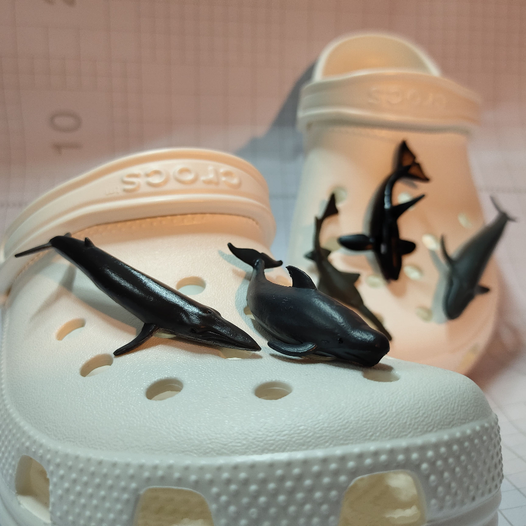[SG LOCAL STOCK] Crocs Shoe Charms for Cute Shoes DIY Decorative Marine ...