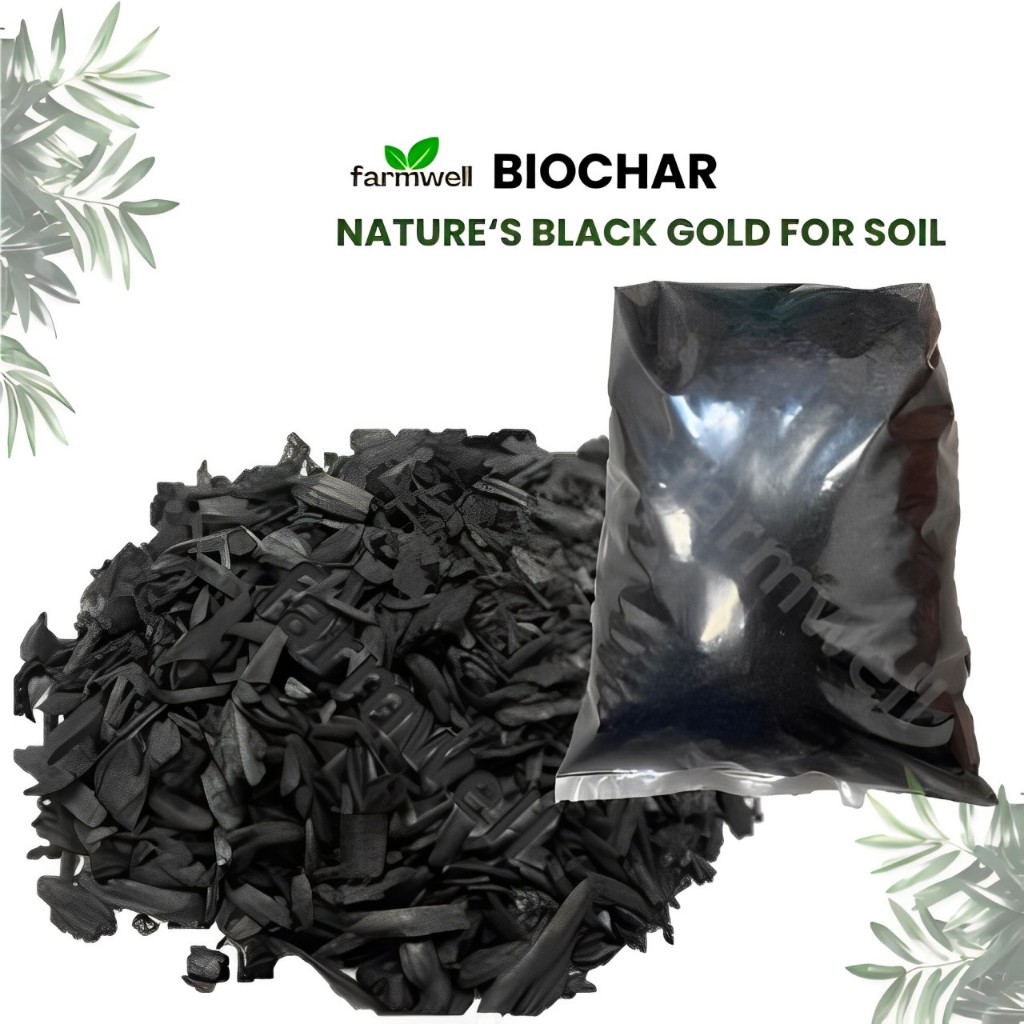 Farmwell Organic Biochar / Horticulture Charcoal Soil Enhancer - 2.5L | Shopee Singapore