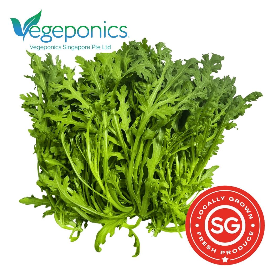 Pesticide-Free Japanese Tang Oh 日本茼蒿 150g Fresh Vegetables Salad ...