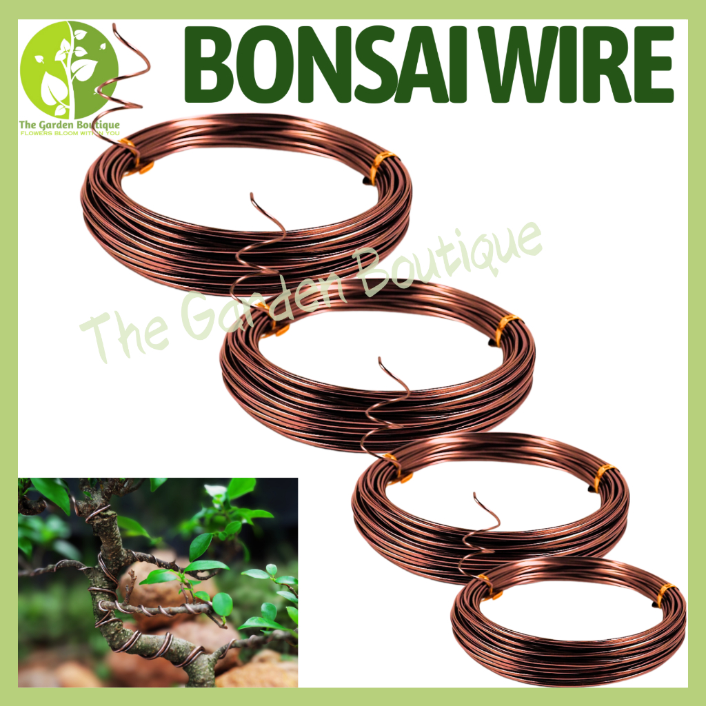 [Local Seller] Bronze Color Anodized Aluminum Bonsai Wire 1mm-4mm Wires ...
