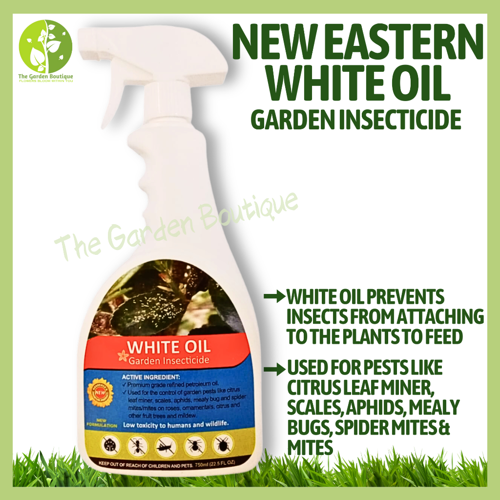 [Local Seller] New Eastern White Oil Plant & Garden Insect Spray/Ready ...