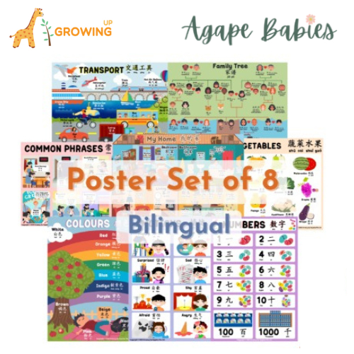 Growing Up Academy Educational Posters (Set of 8) – Bilingual (28X40cm ...