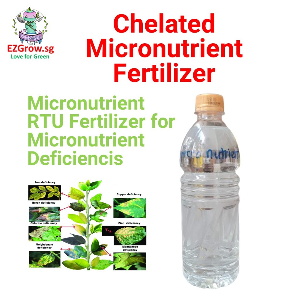 Micronutrient for Foliage Plants for Trace Elements Micronutrients ...