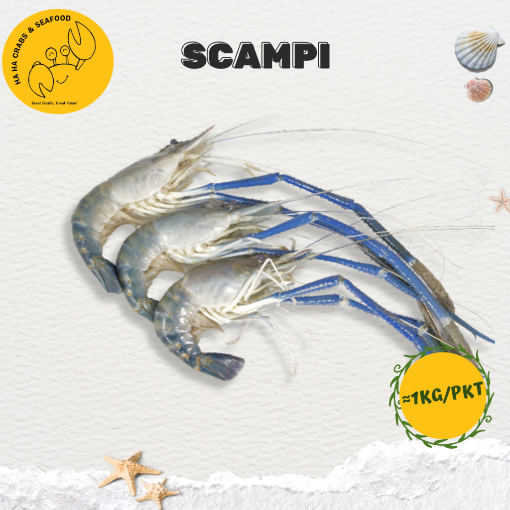 Scampi (River Prawn) 大头虾, Big Size 1kg/pkt | Shopee Singapore