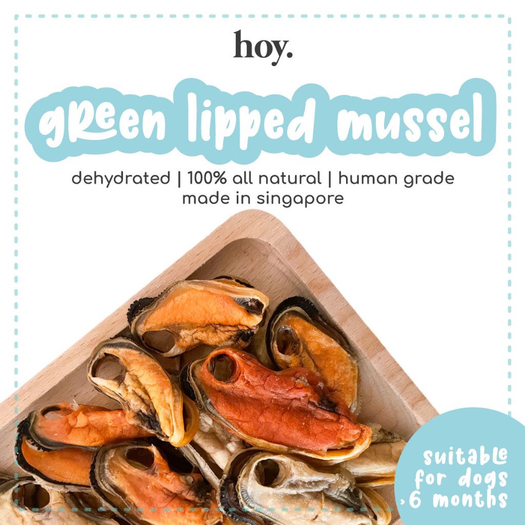green lipped mussel (100g) | hoy freshly made in singapore (100% ...