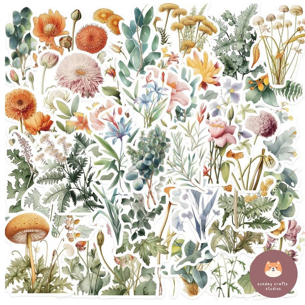 [SG] ️ 50pcs Wild Flower & Fungi Stickers | Shopee Singapore