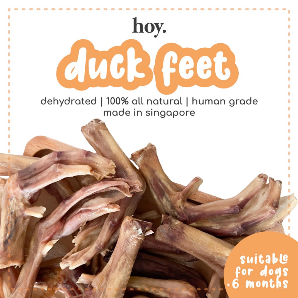 duck feet (100g) | hoy freshly made in singapore (100% natural ...