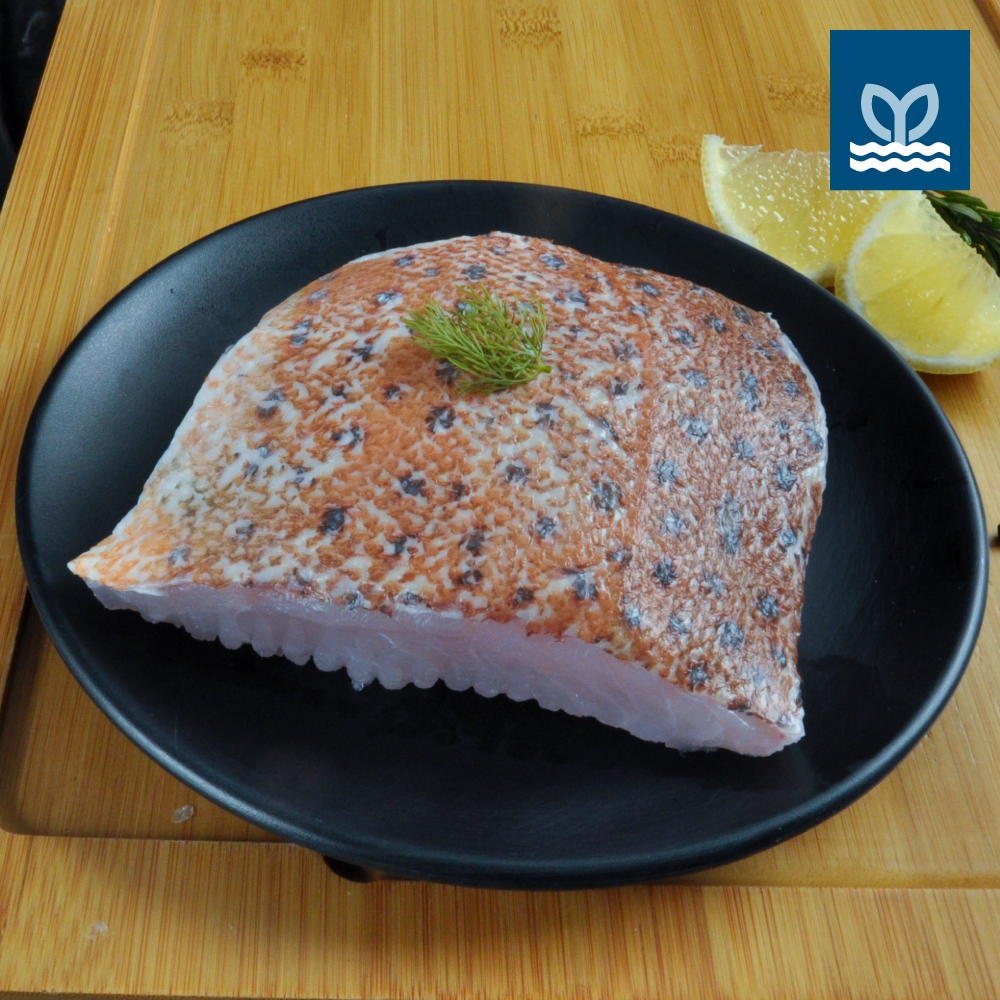 Prime Fresh - Fresh Red Grouper 红斑 (Ang Gau) 275G – 300G - Fillet/Steak ...