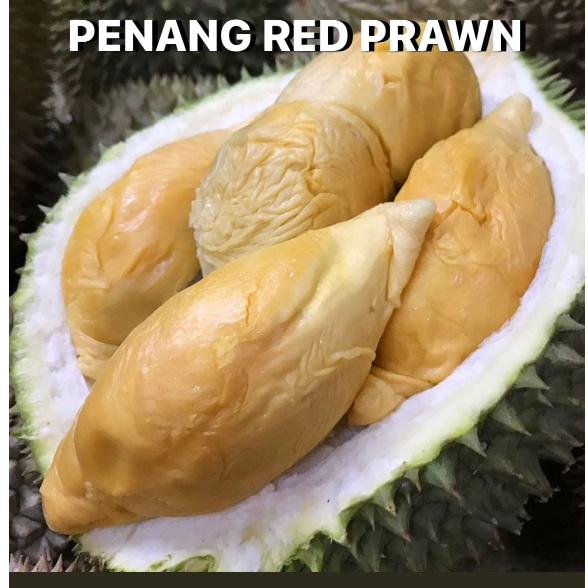 【SHIP WITHIN 3 HOURS】3/4/6 Box of FRESH PENANG Red Prawn Durian 400g ...
